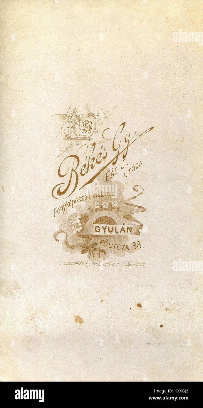 A photograph taken in 1898 showing a printing workshop at 38 Fo Utca ...