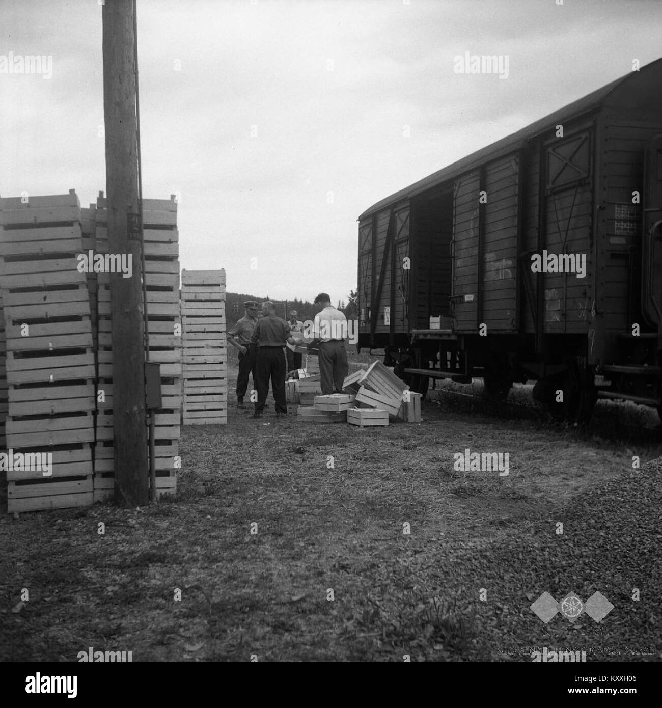 Photograph from 1960 showing hay loaded onto a freight train at Velike ...