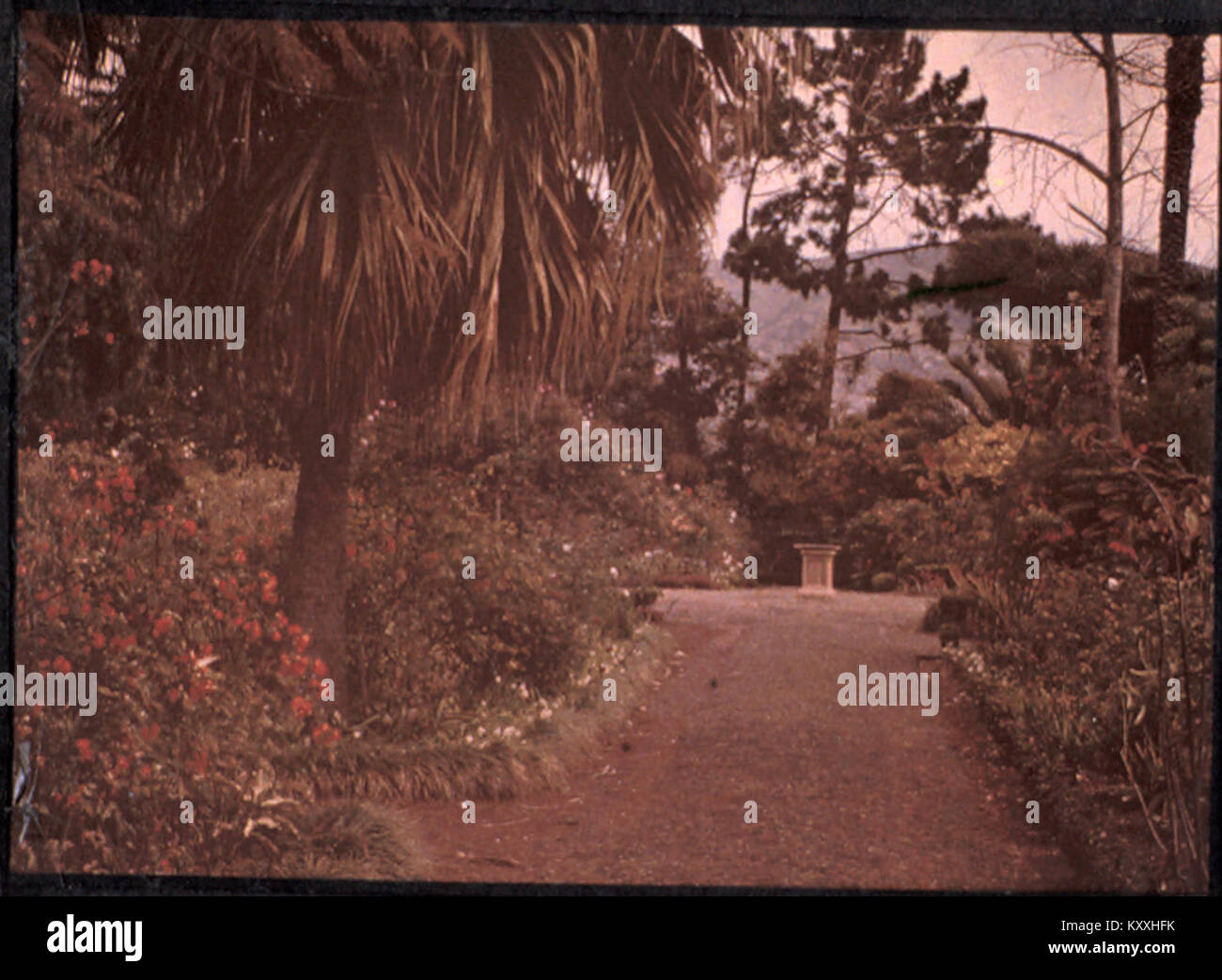 Sarah madeira hi-res stock photography and images - Alamy