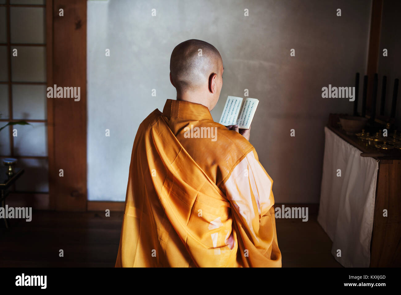 Rear view of Buddhist monk with shaved head wearing golden robe sitting ...