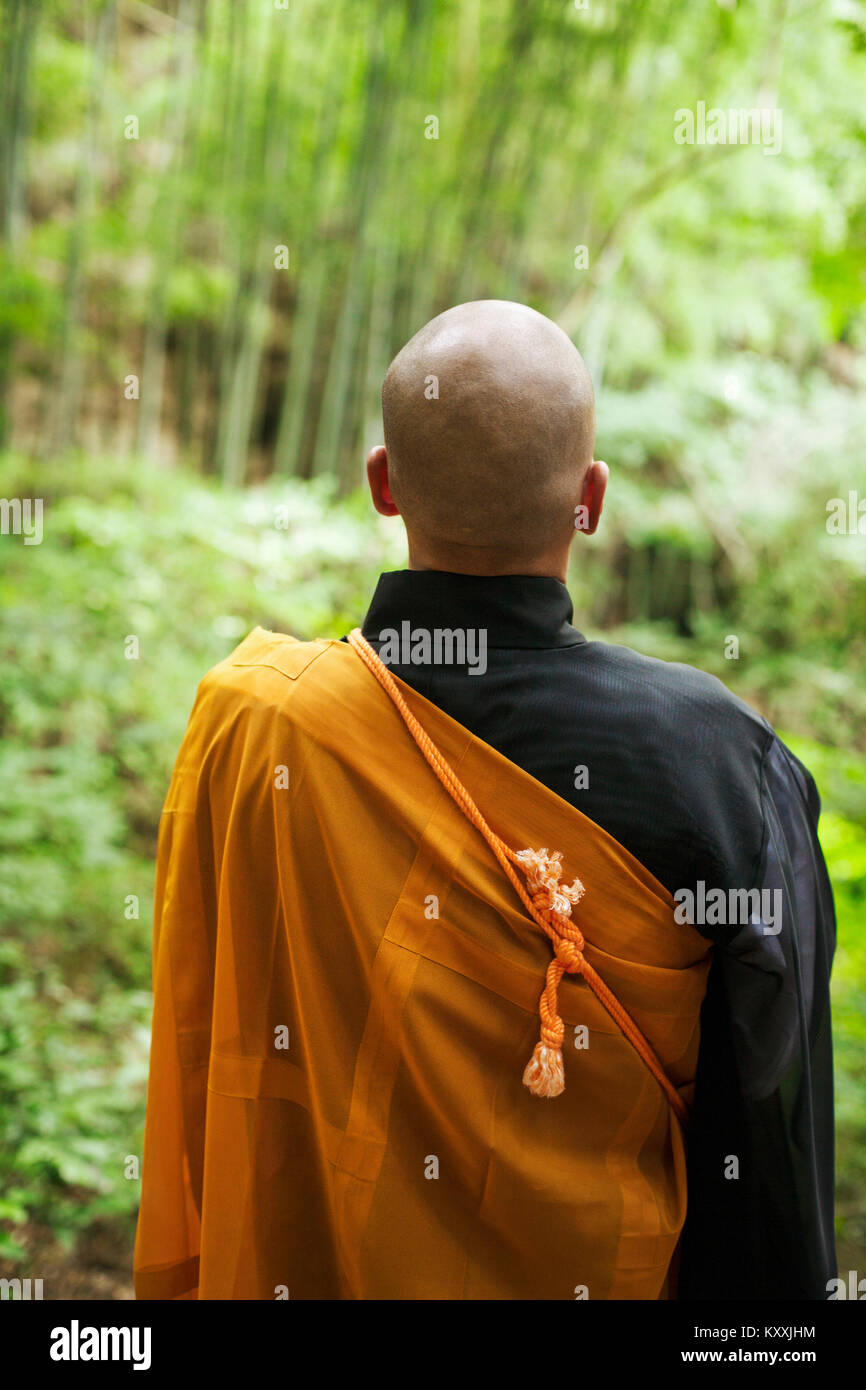 Rear view of Buddhist monk with shaved head wearing black and yellow ...