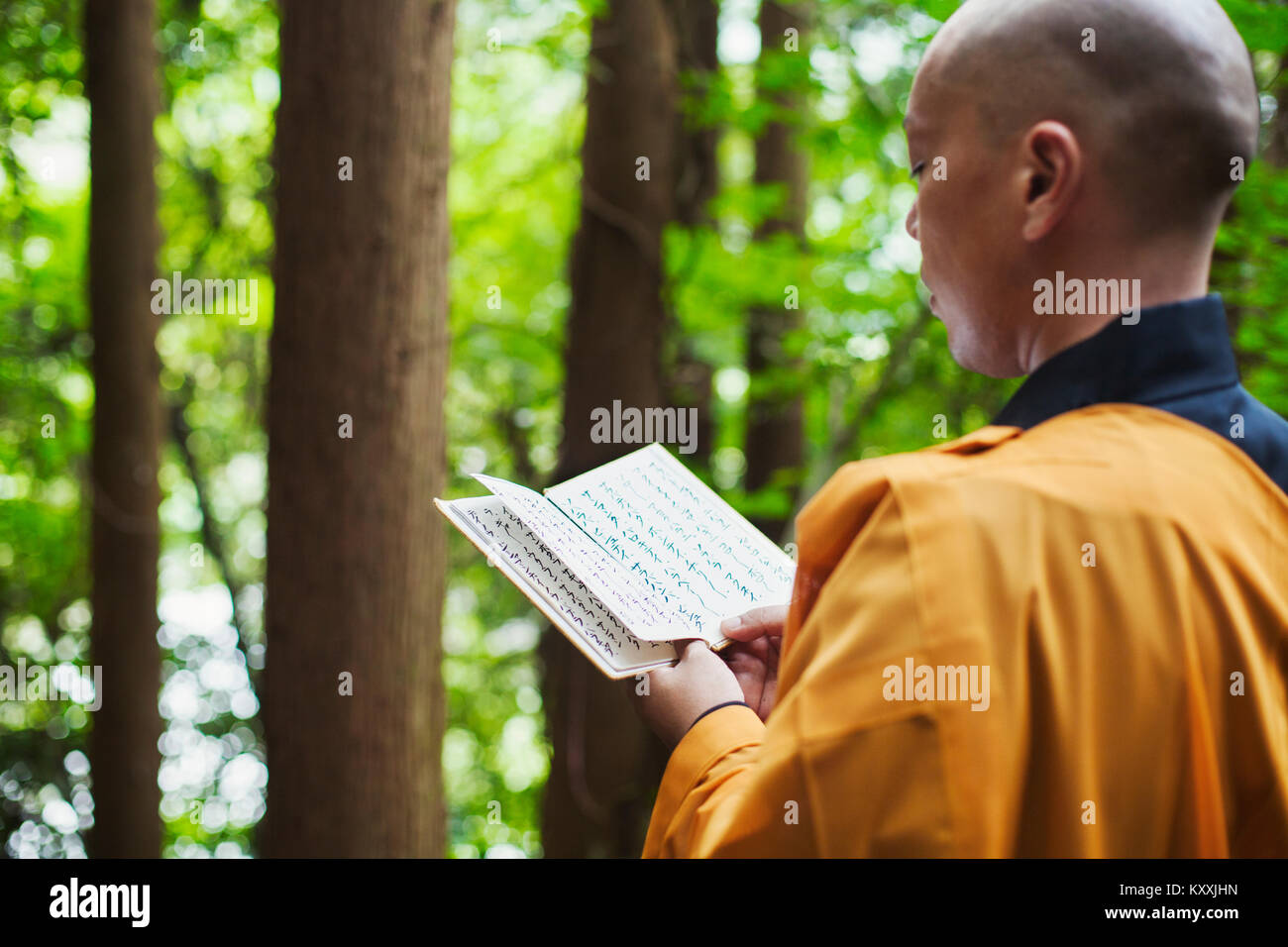 Buddhist monk standing meditating hi-res stock photography and images ...