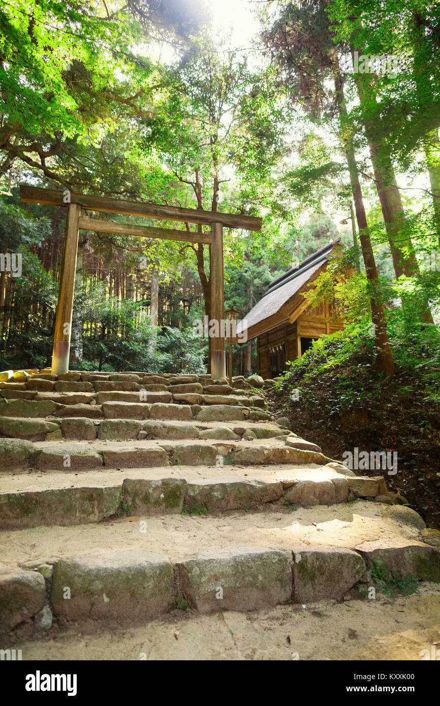 Stone steps at Shinto Sakurai Shrine, Fukuoka, Japan Stock Photo - Alamy