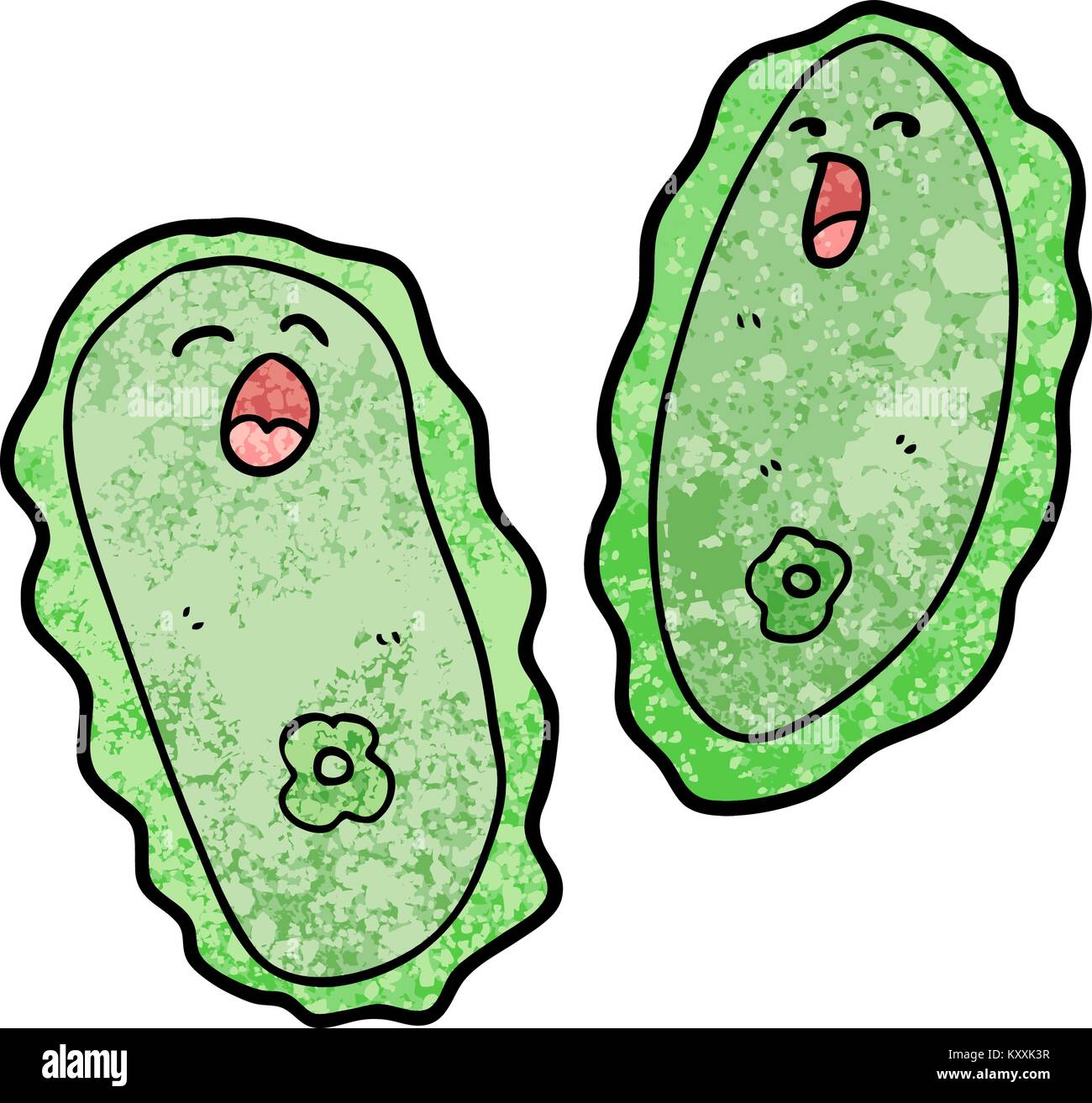 Dividing bacteria cells Stock Vector Images - Alamy