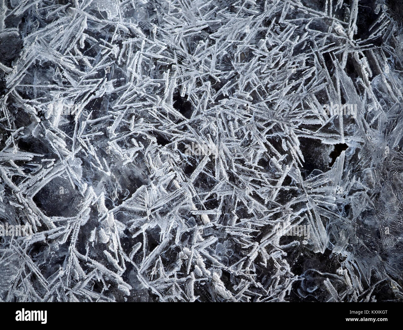 Frost point hi-res stock photography and images - Alamy