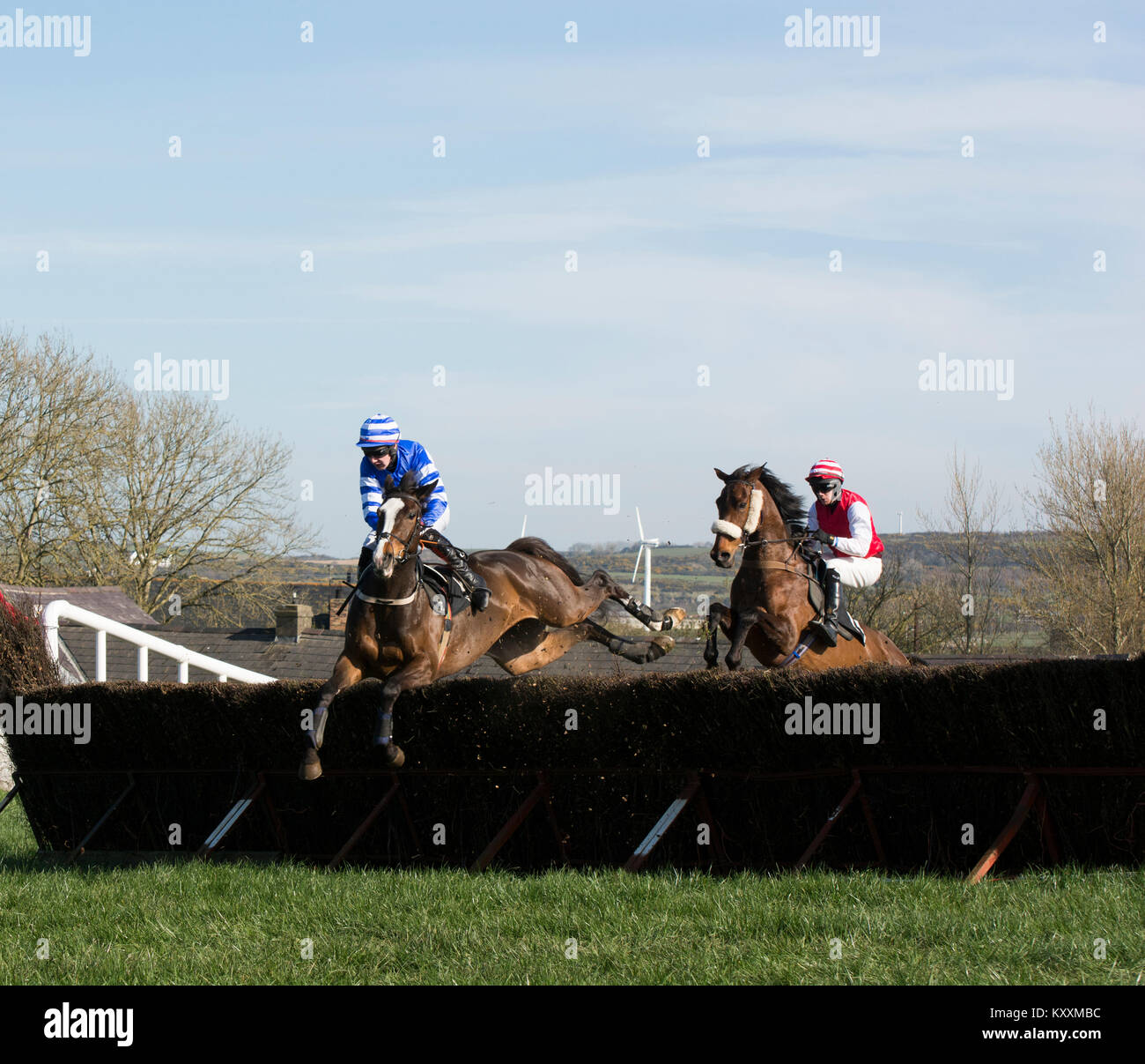 Point to point racing horse racing hi-res stock photography and images ...
