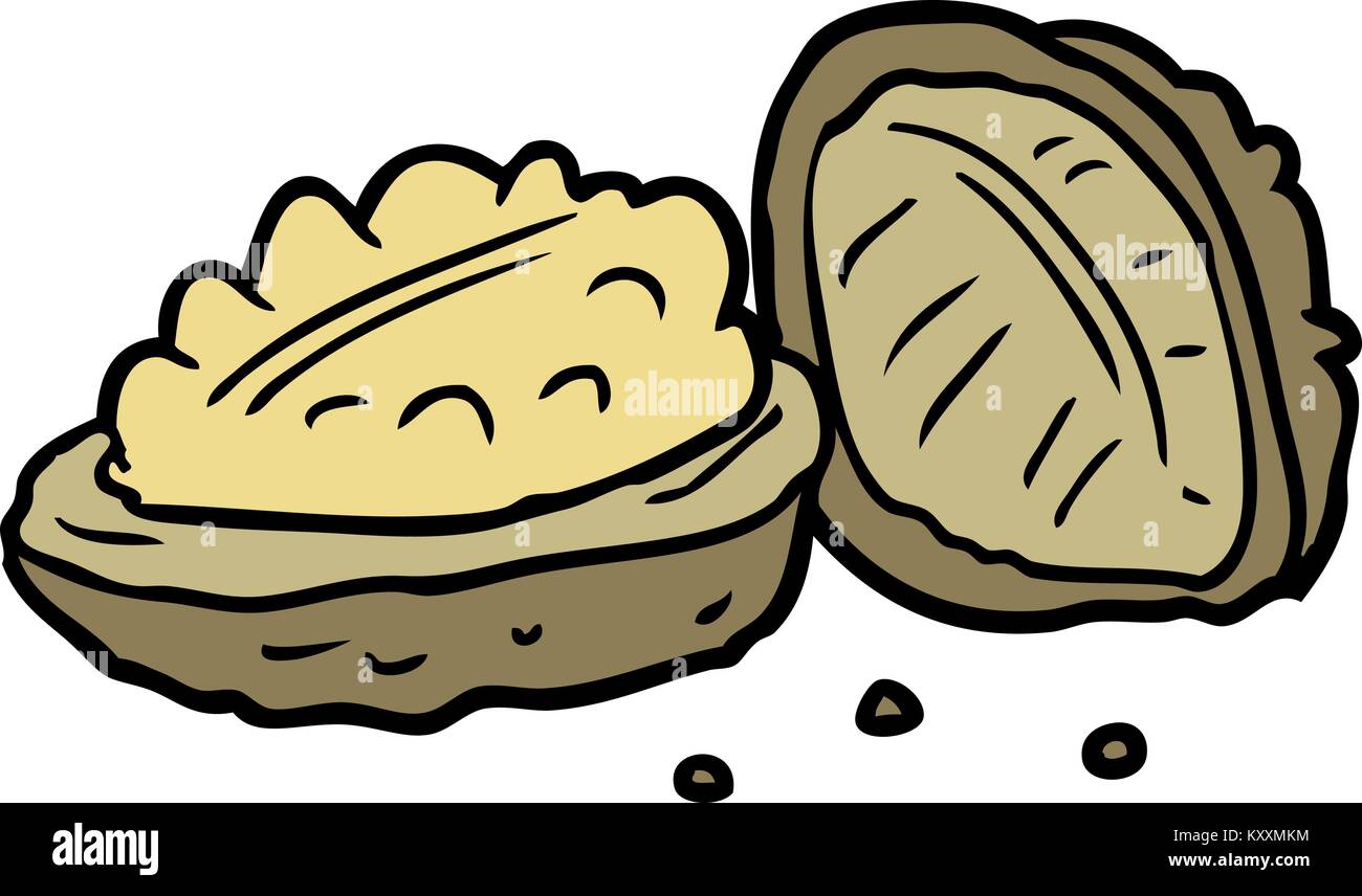 Walnuts shells Stock Vector Images - Alamy