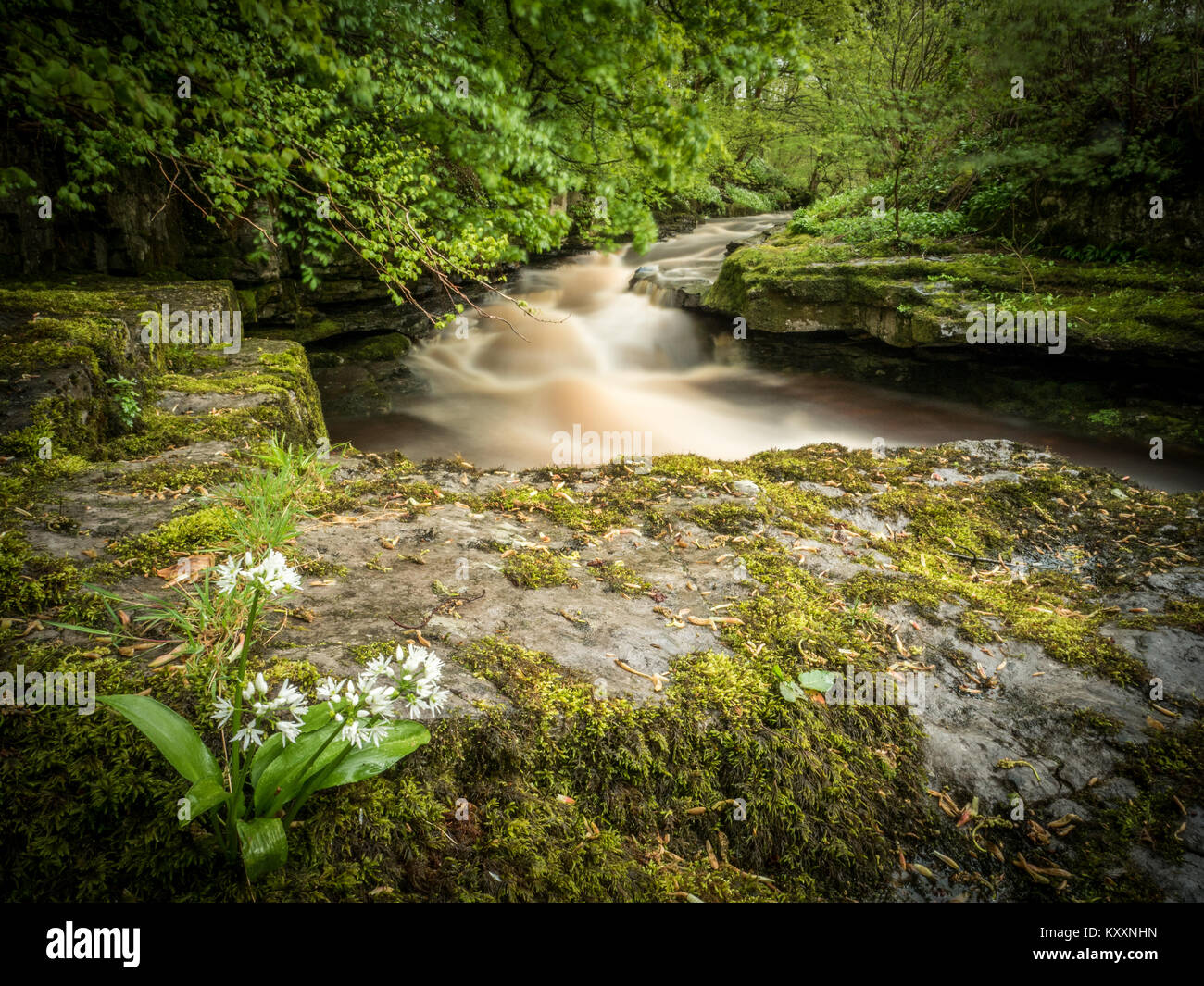 Ibbeth Perril on the River Dee in Dentdale, Cumbria. The river was ...