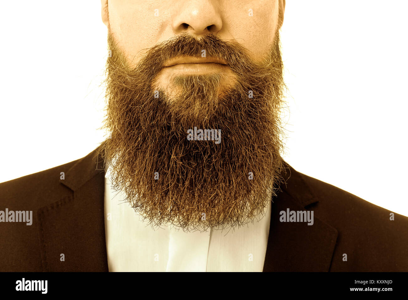 Long reddish beard hi-res stock photography and images - Alamy