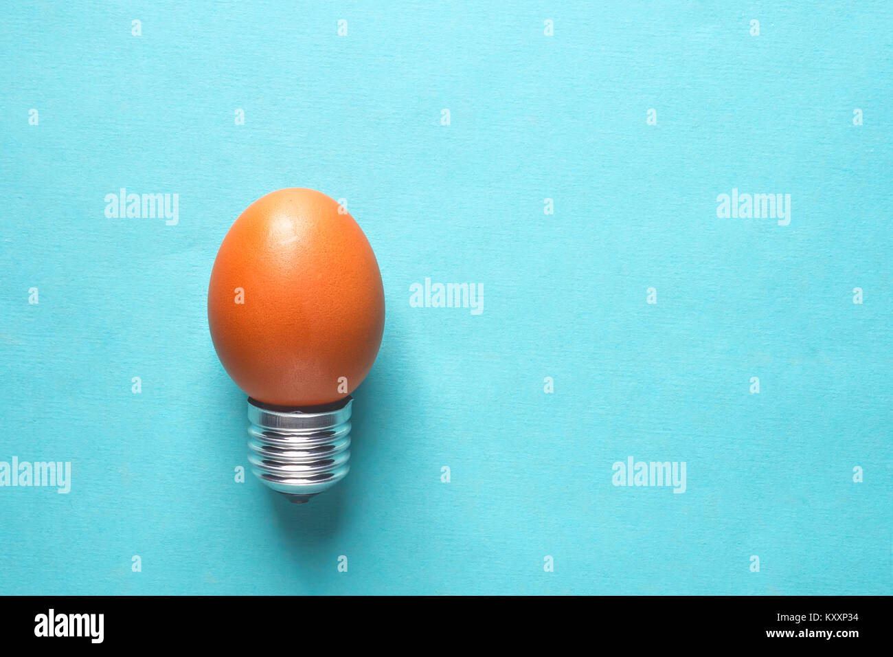 Light Bulb Egg shell on Base Concept Energy Saving Ecology Natural ...