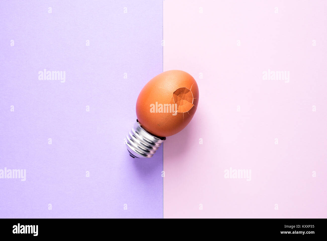 Light Bulb Egg shell on Base Concept Energy Saving Ecology Natural ...