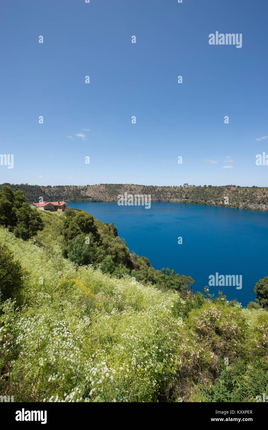 The Blue Lake at Mount Gambier in South Australia. It turns a vibrant ...
