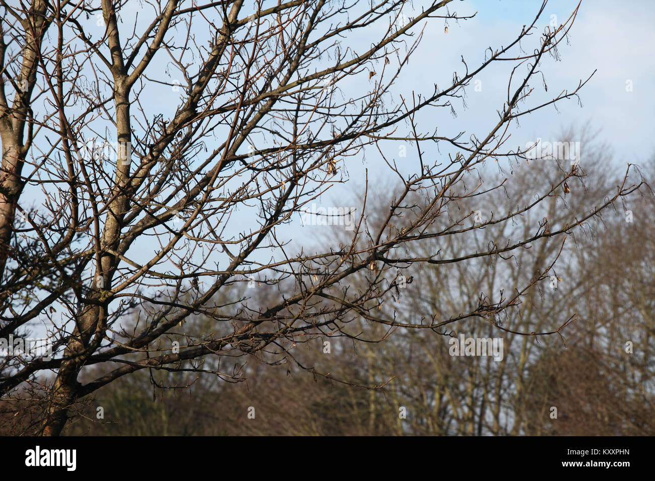 Maghull boat hi-res stock photography and images - Alamy