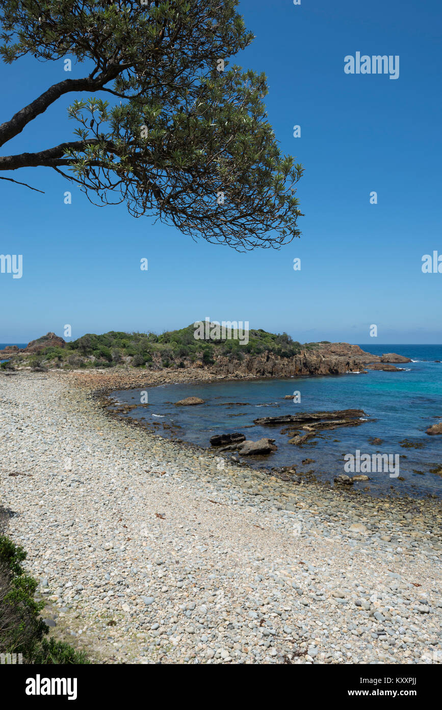 Mimosa rocks national park hi-res stock photography and images - Alamy