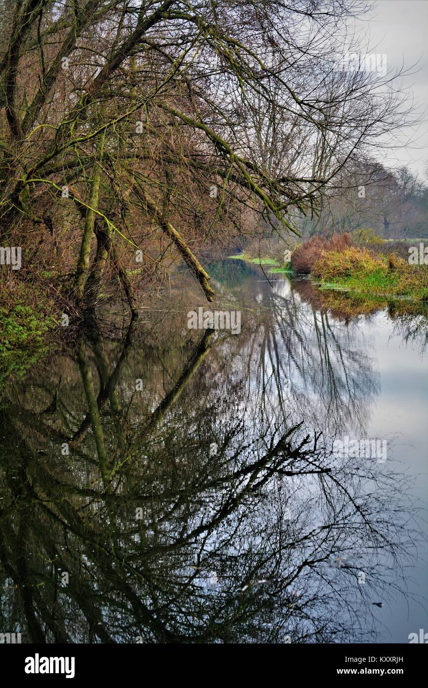 River Lark with Autumn winter trees reflecting in water. Mildenhall ...