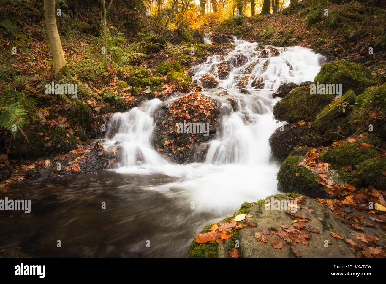 The waterfall on Wynlass Beck as it flows through the woods above Low ...