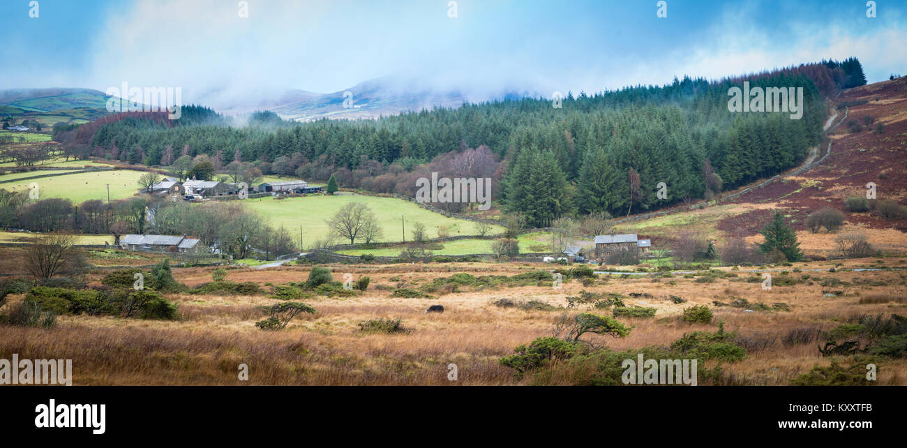 Logan beck hi-res stock photography and images - Alamy