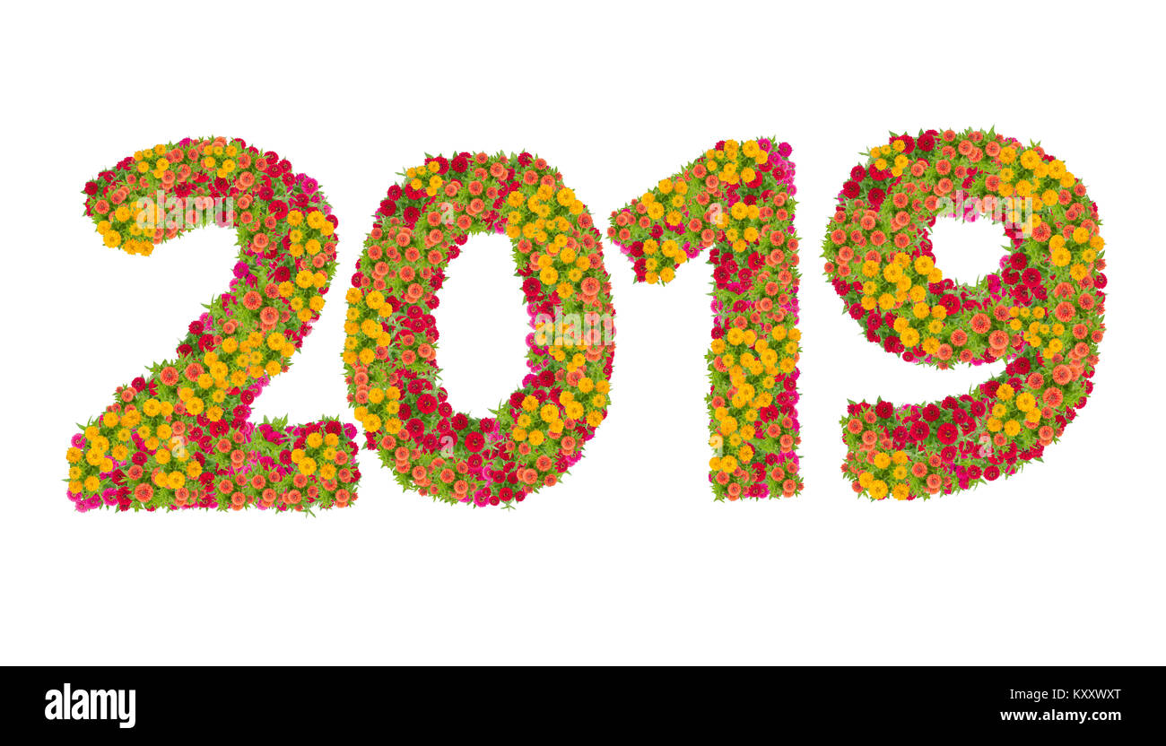 Numbers 2019 made from Zinnias flowers isolated on white background ...