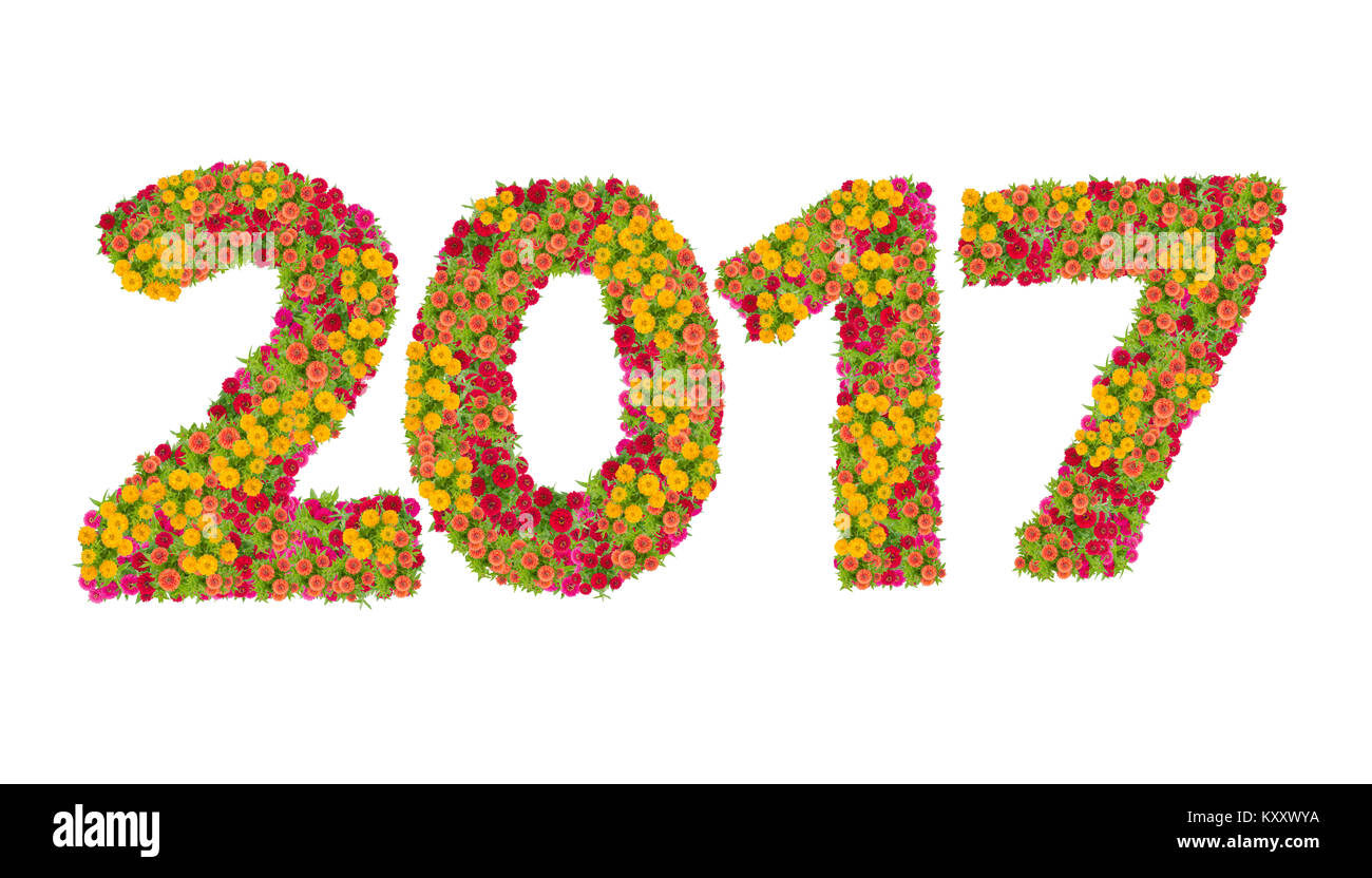 Numbers 2017 made from Zinnias flowers isolated on white background ...