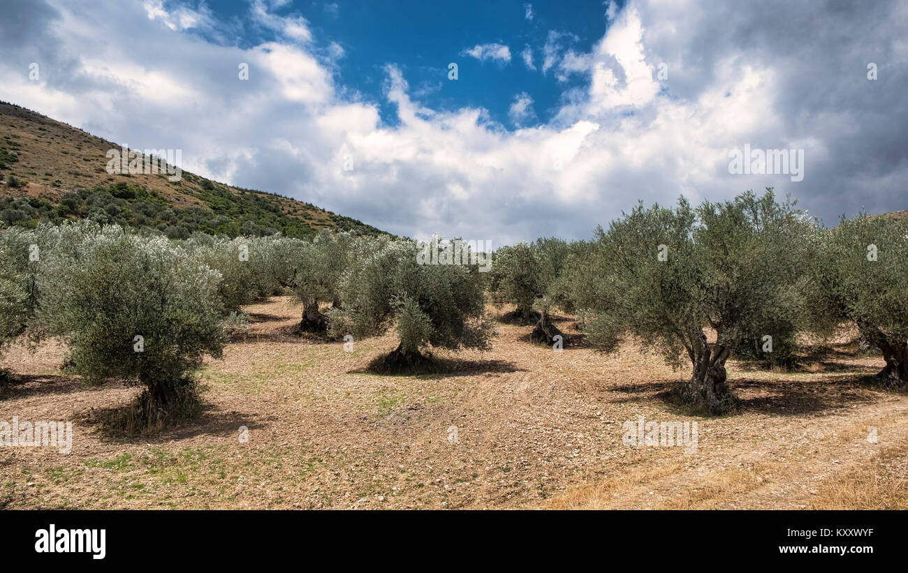 Mountain landscape along the road from Bussi sul Tirino (Pescara) to ...