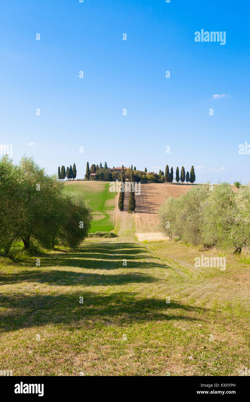 Tuscany hills landscape, Italy. Rural italian panorama Stock Photo - Alamy