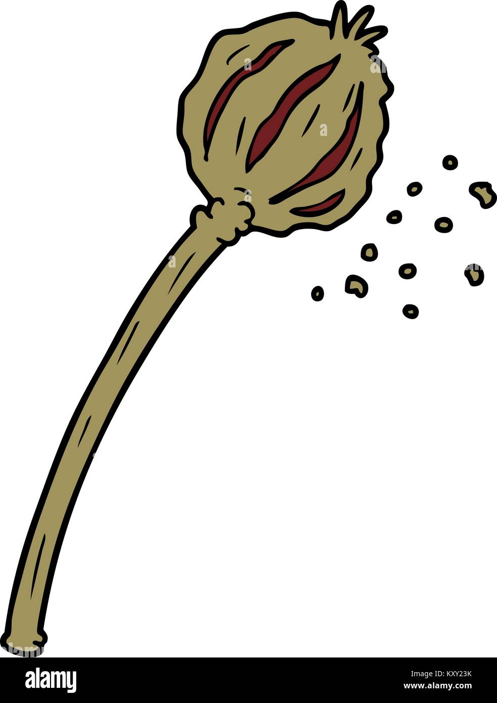 dried poppy cartoon Stock Vector Image & Art - Alamy