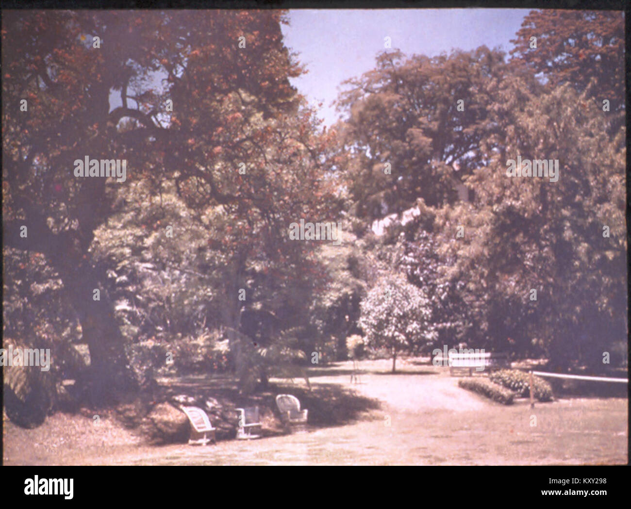 Sarah Angelina High Resolution Stock Photography and Images - Alamy