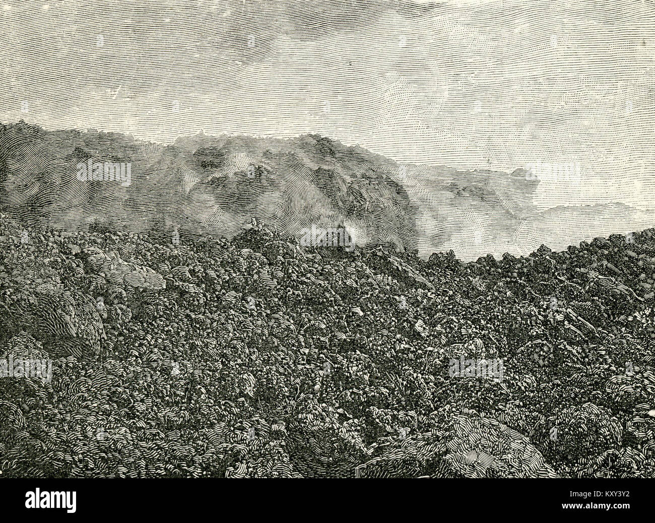 An image depicting the eruption of Mount Etna in 1892, one of the most ...