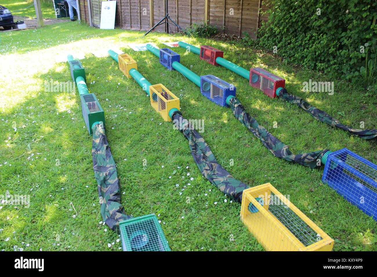 Ferret race hi-res stock photography and images - Alamy