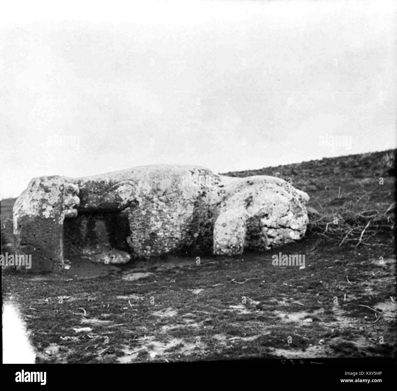A photograph by Gertrude Bell showing a carved stone Assyrian lion from ...