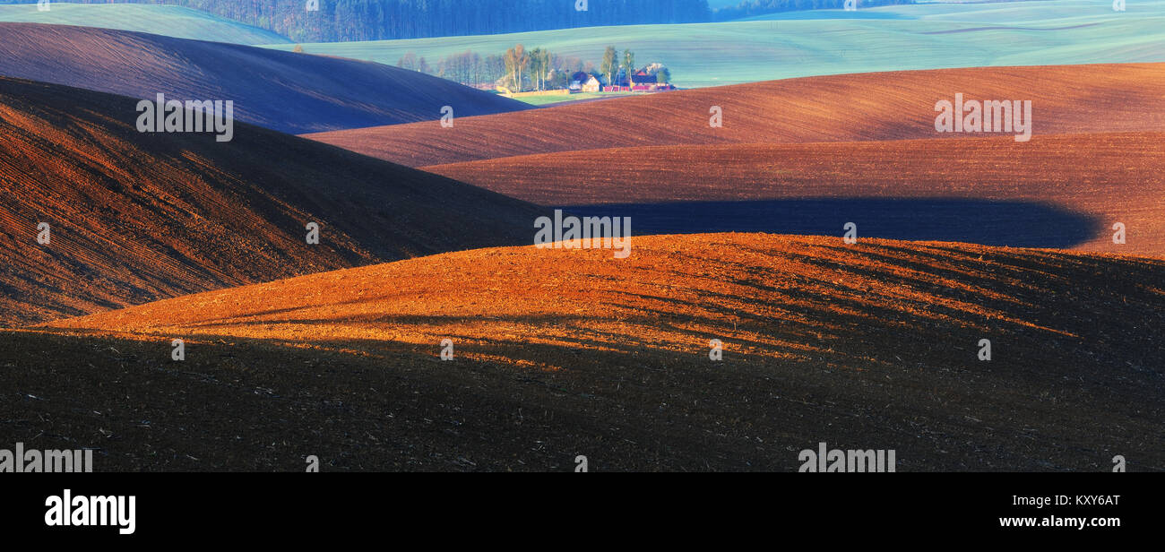 picturesque hilly field. ranks of agricultural crops on the field Stock ...