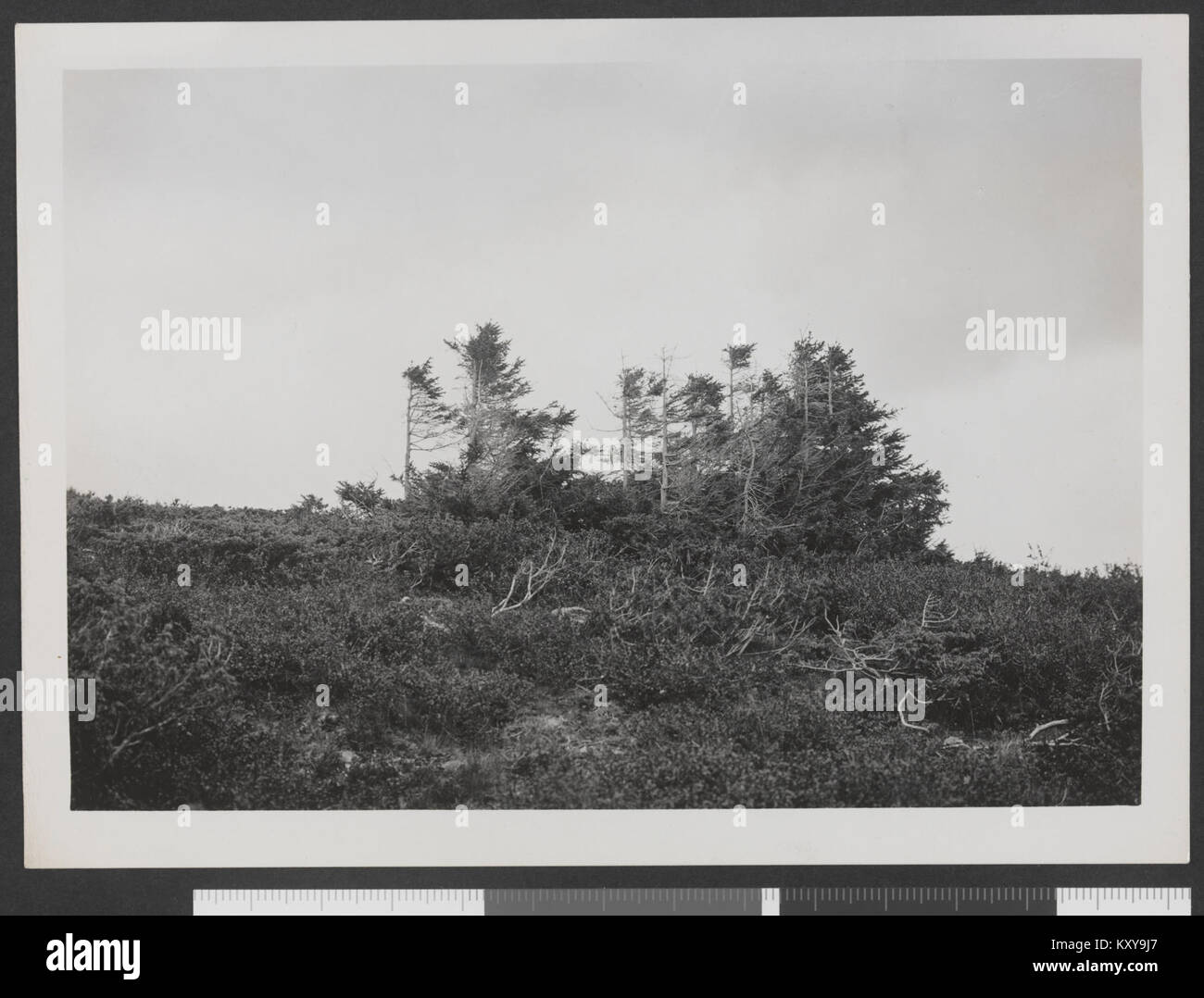 This image captures the Grangruppe, located at approximately 1000 ...