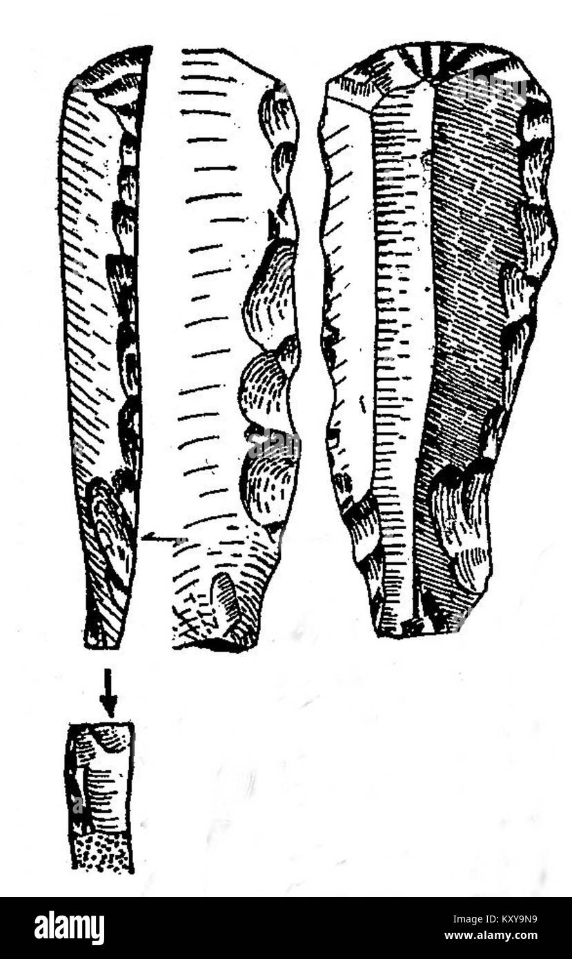 This artifact, known as Scraper No. 1 from La Mabilière, is a ...