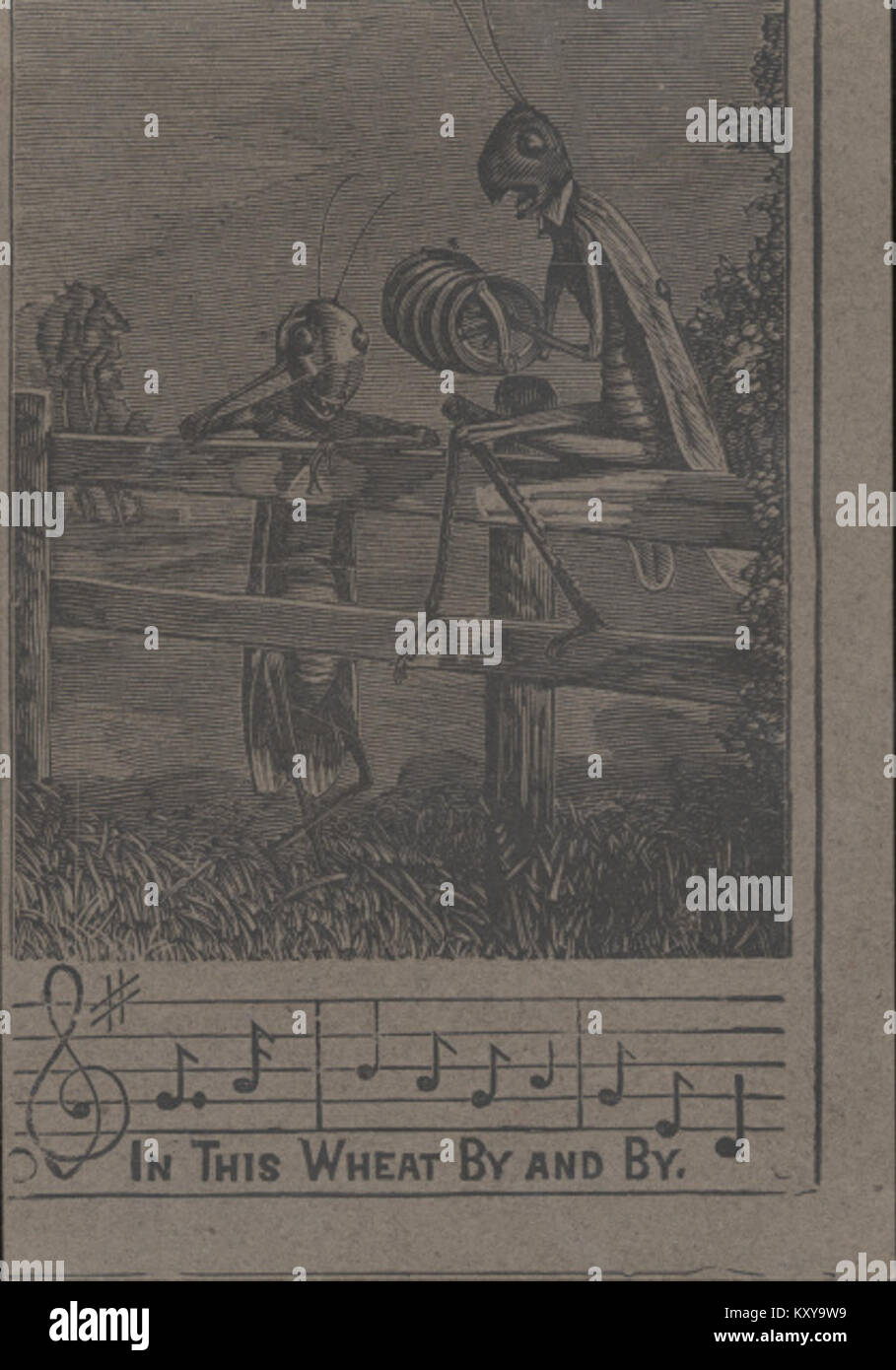 American tea hi-res stock photography and images - Alamy