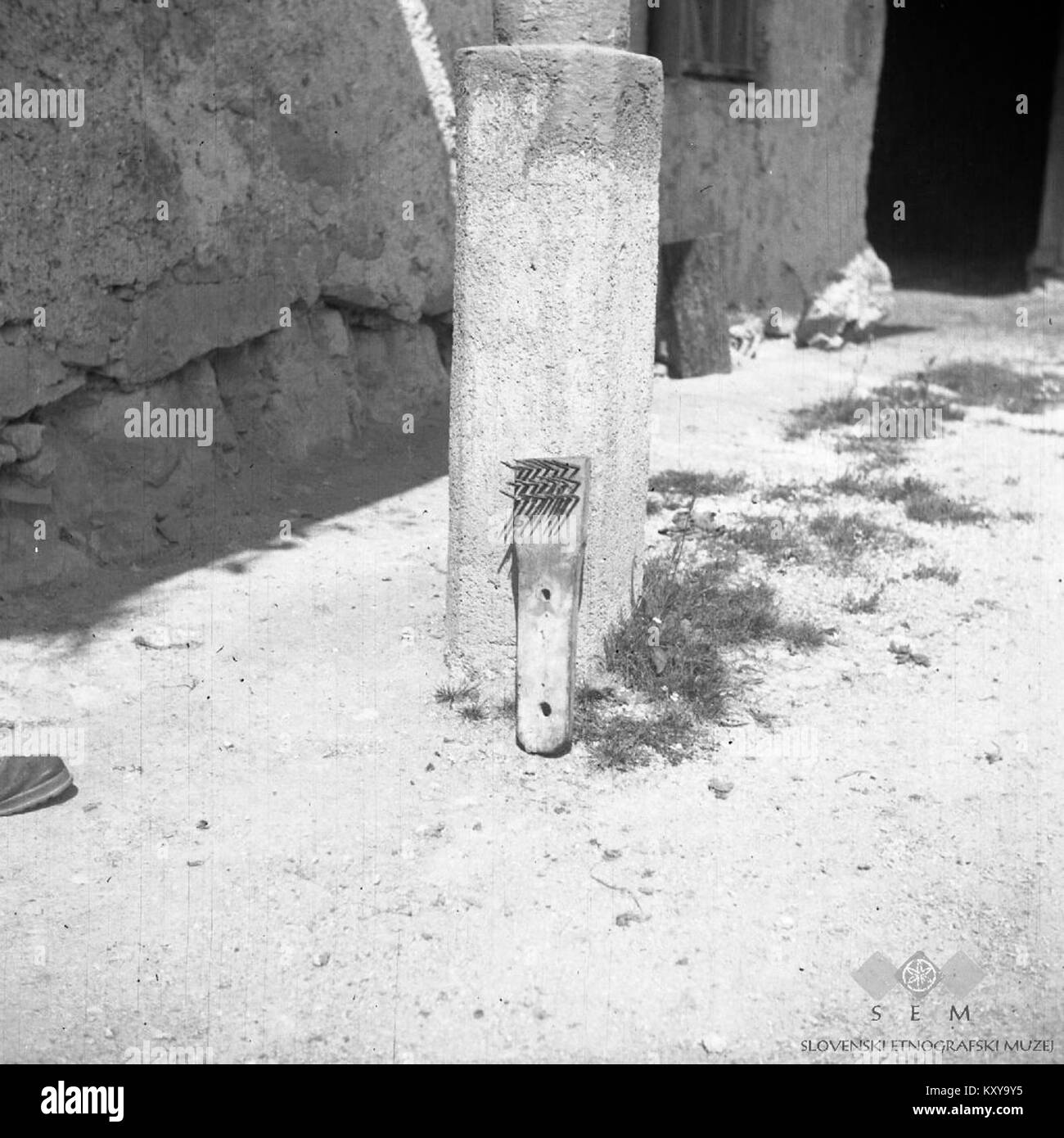 Osolnik hi-res stock photography and images - Alamy