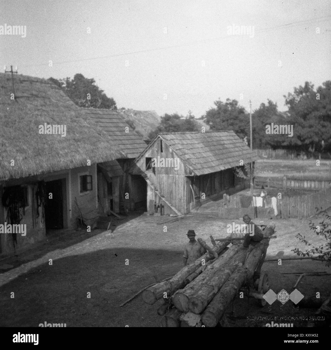 This photograph from 1952 shows the pigsties and courtyard of a farm in ...