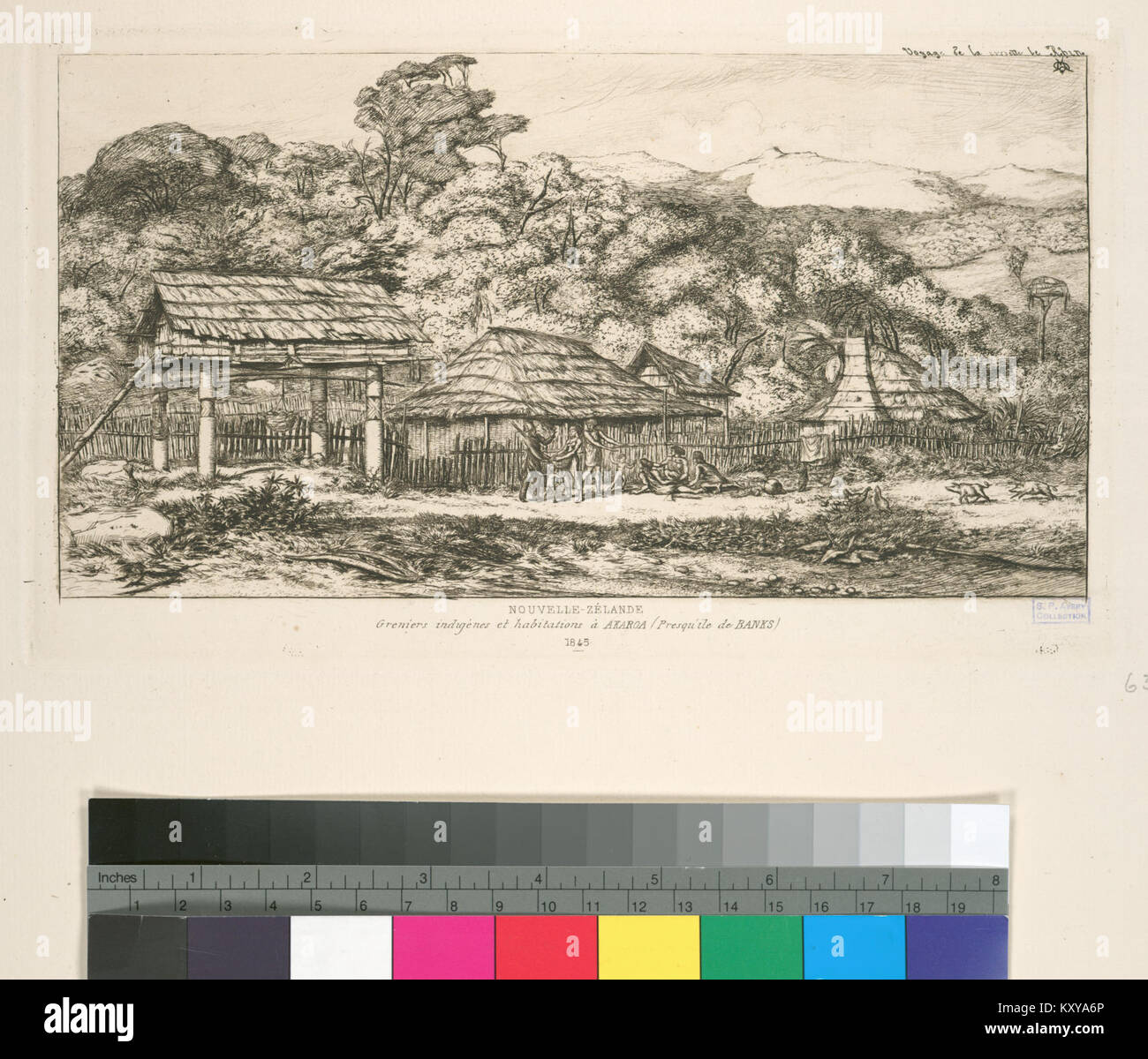 Pre colonial new zealand hi-res stock photography and images - Alamy