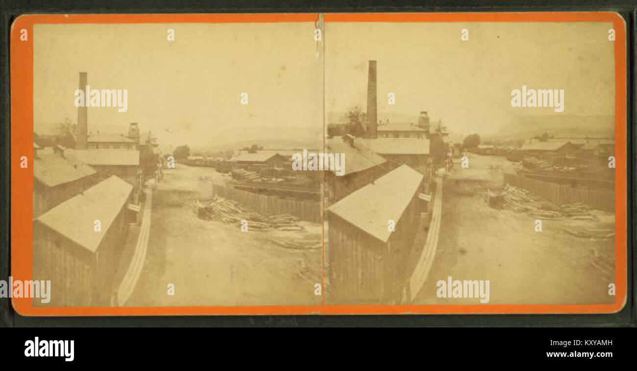 Gruner. Delaware Avenue, Portland House cupola, from Robert N. Dennis ...