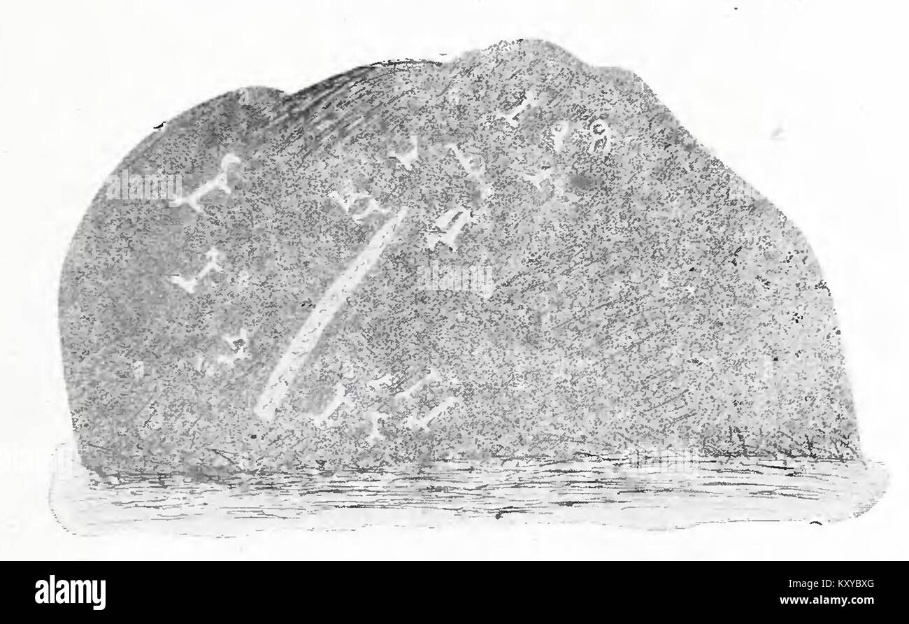 Photography excursion Cut Out Stock Images & Pictures - Alamy