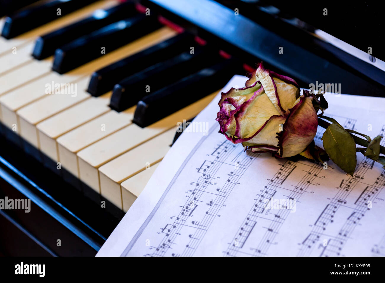 Sheet Music Rose Piano High Resolution Stock Photography and Images - Alamy