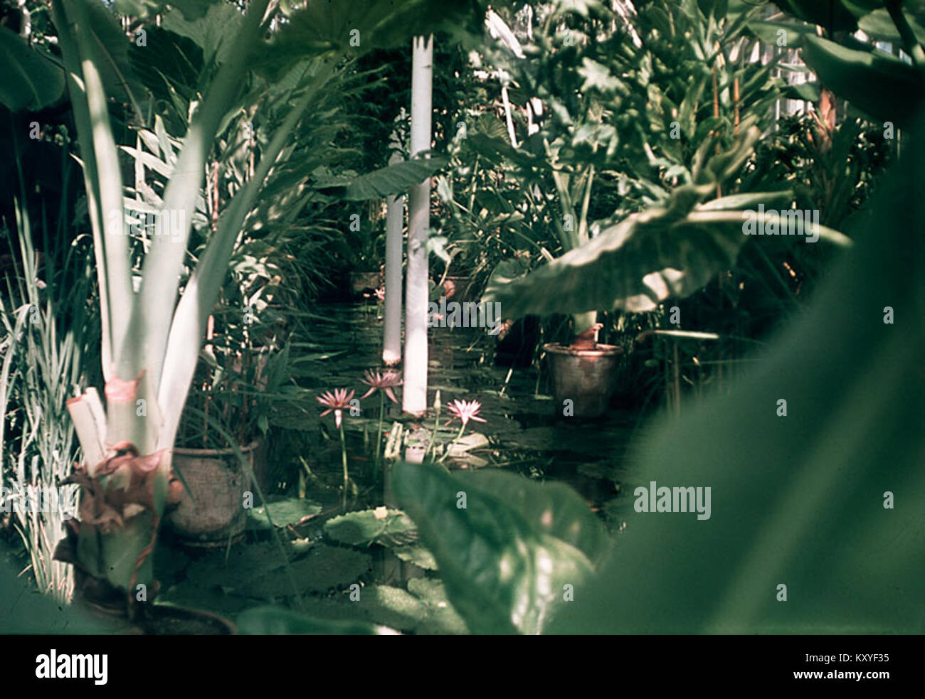 Gothenburg landmarks hi-res stock photography and images - Alamy