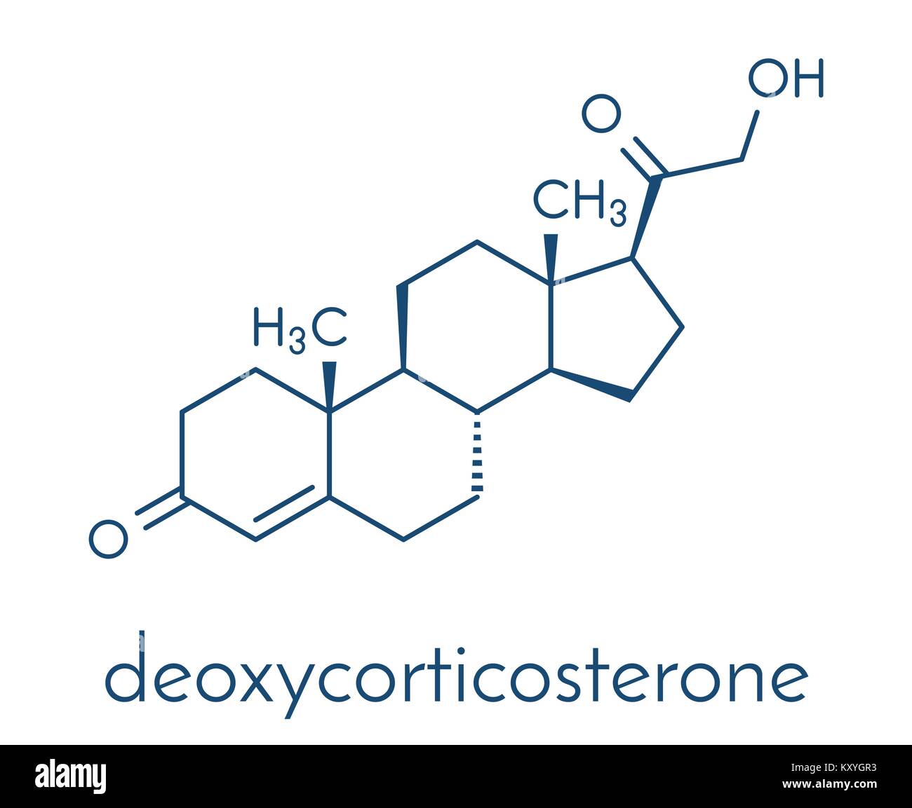 Deoxycorticosterone (DOC) mineralocorticoid hormone molecule. Precursor ...