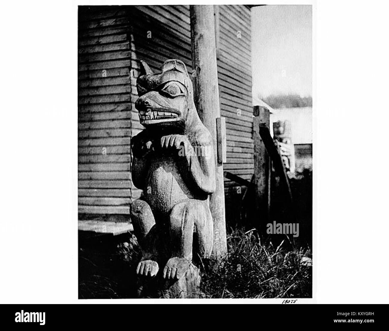A photograph of a carved totem-figure by the Haida peoples at Klukwan ...