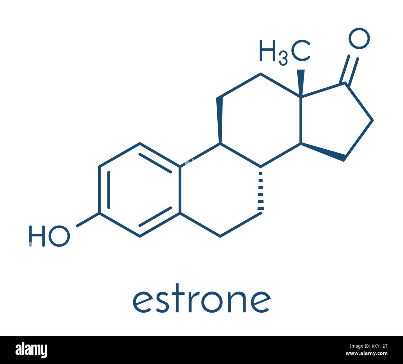 Estrone Structure