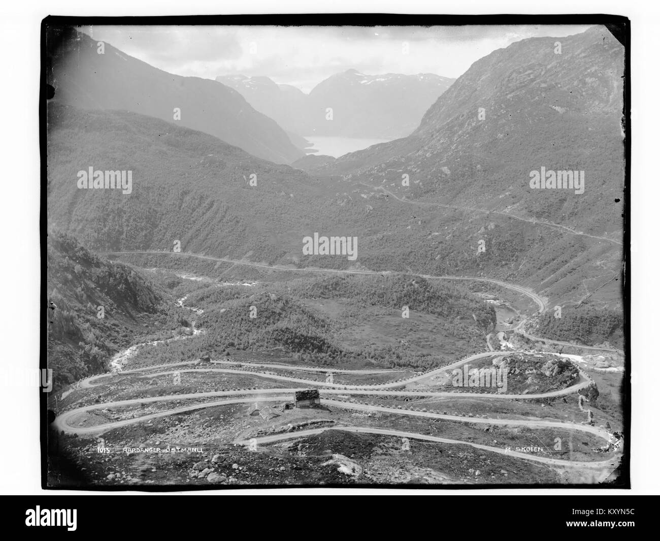 Harnalsvinger hi-res stock photography and images - Alamy