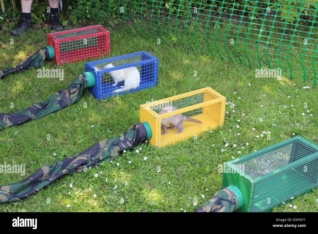 Obstacle race finish line hi-res stock photography and images - Alamy