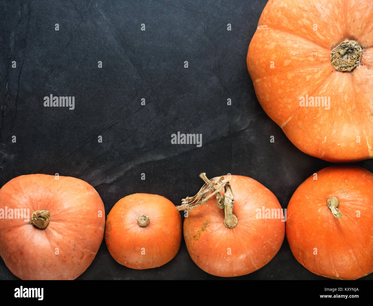 Pumpkins of different sizes on a black background Stock Photo - Alamy