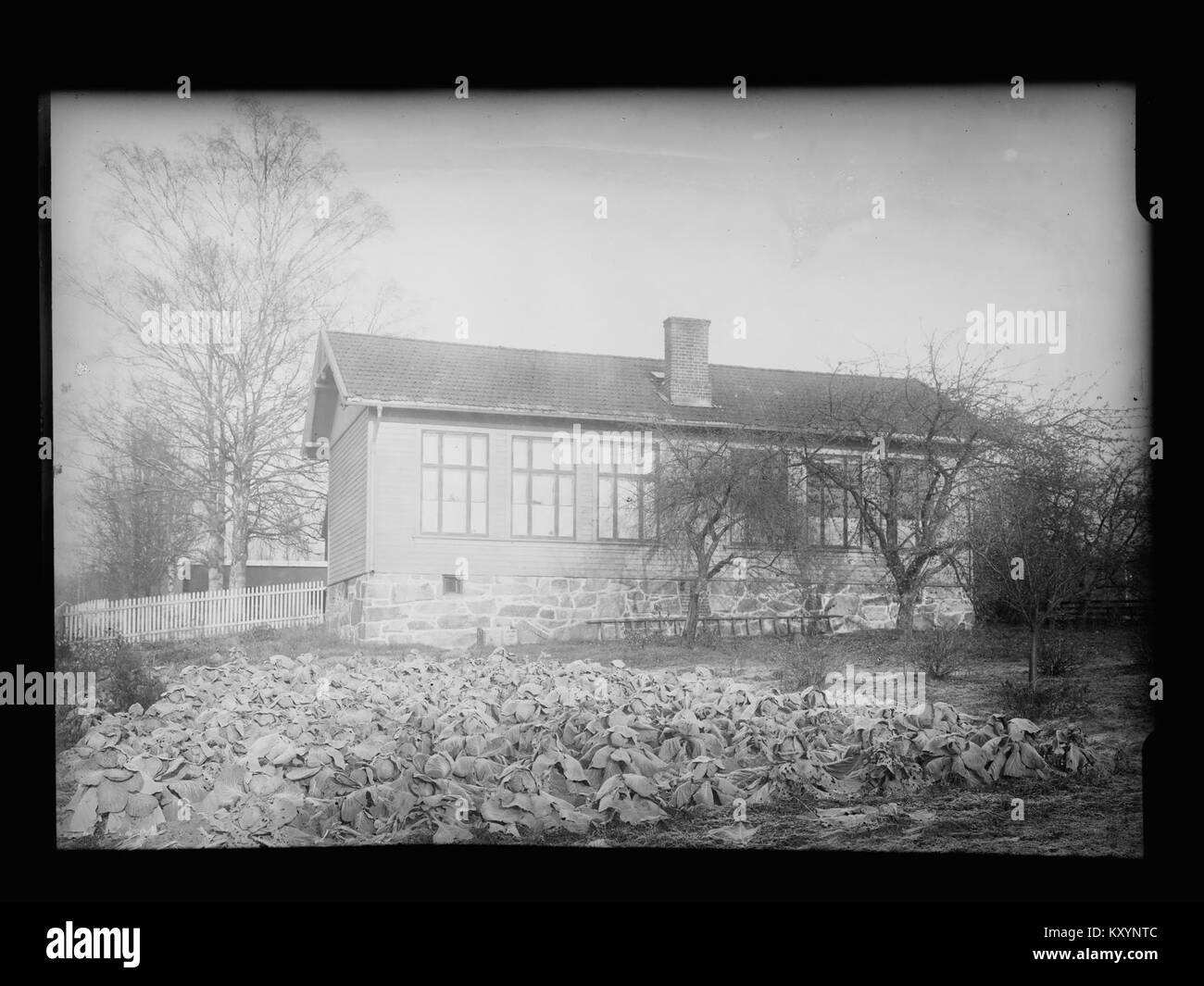 A photograph of Haug School in Brum, Norway, capturing the early 20th ...