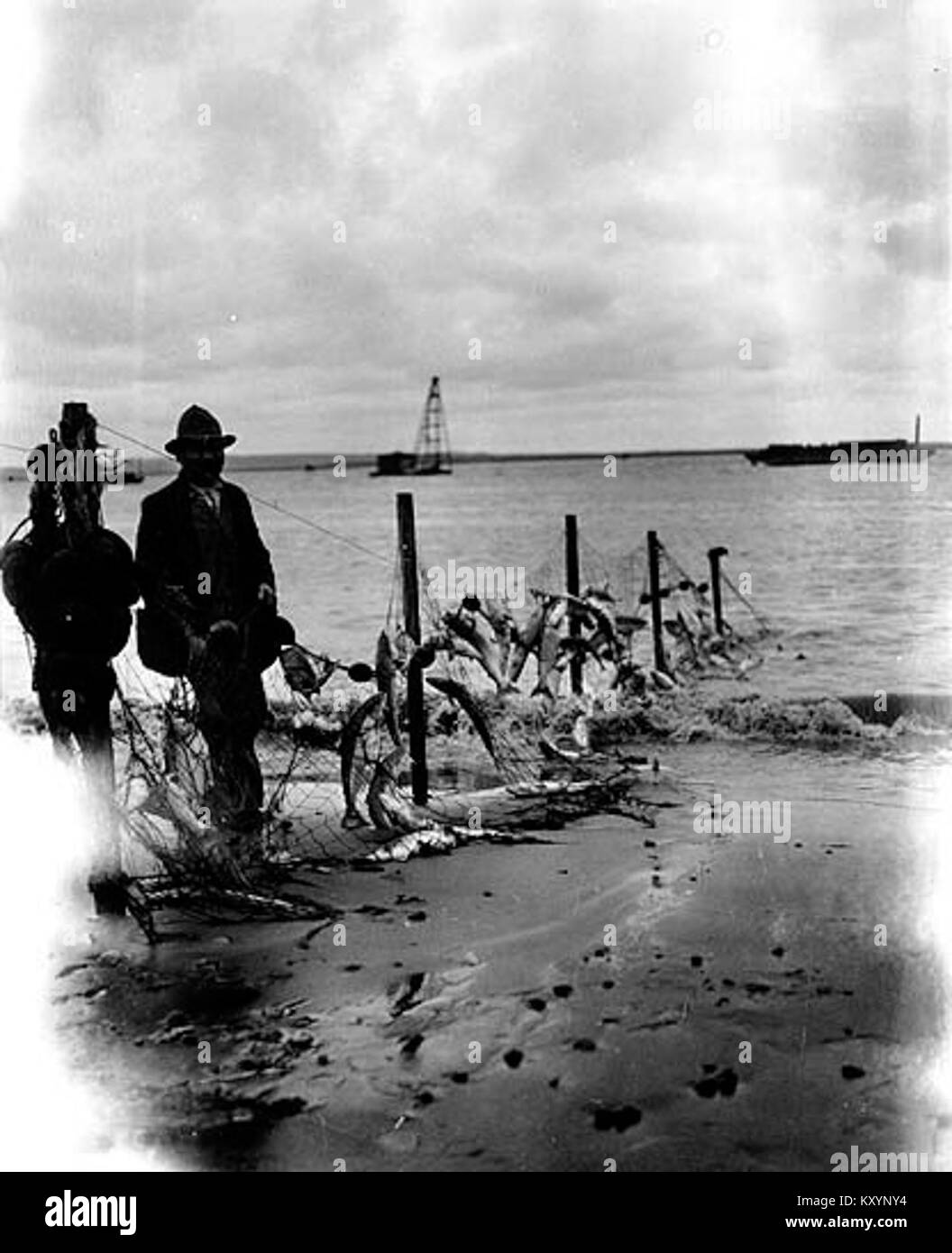 Hauling in salmon from Eskimo fish trap, Egegik, Alaska, 1917 (COBB 290 ...