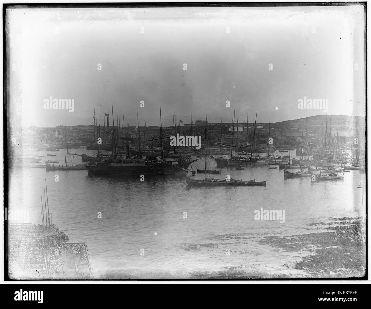 A photograph of the harbor in Vard, capturing the coastal environment ...